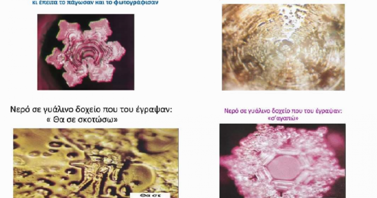 Με τη σφραγίδα του Υπουργείου Παιδείας, ακραίες και επικίνδυνες αντι ...