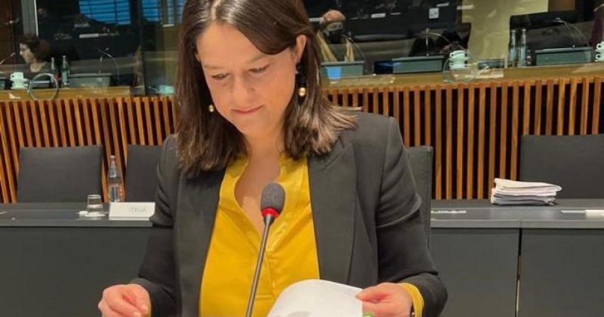 Πανεπιστημιακοί: Νομοσχέδιο ενάντια στη Δημοκρατία και υπέρ της ...