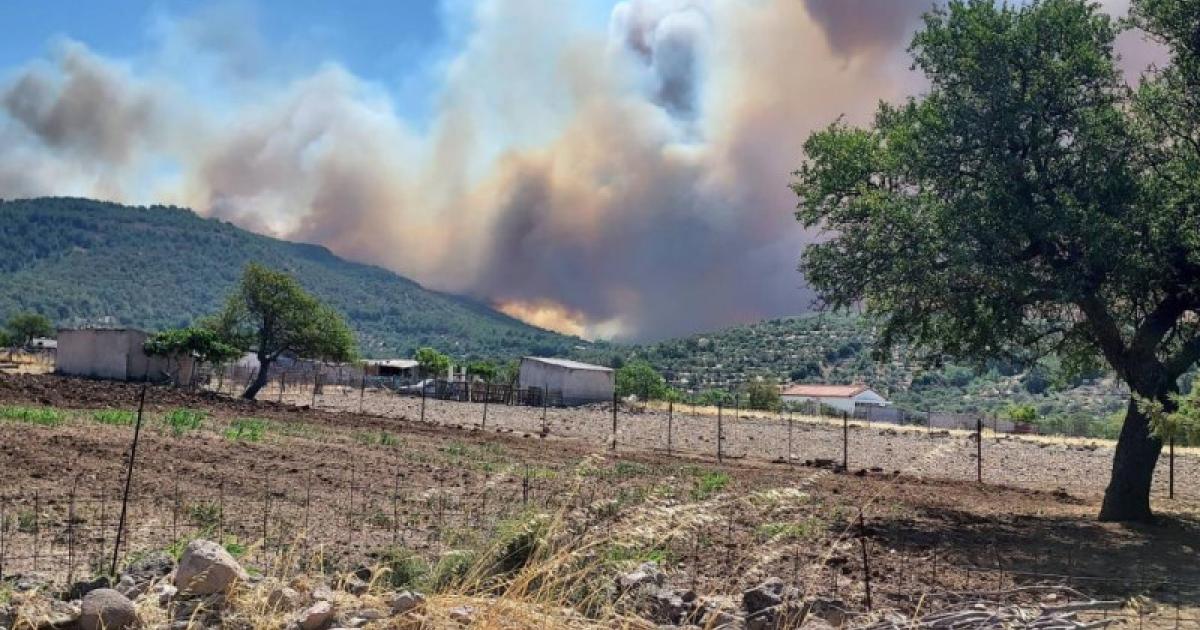 Μεγάλη φωτιά στη Λέσβο: Εκκενώνεται ο οικισμός Βατερά- Καίγονται σπίτια ...