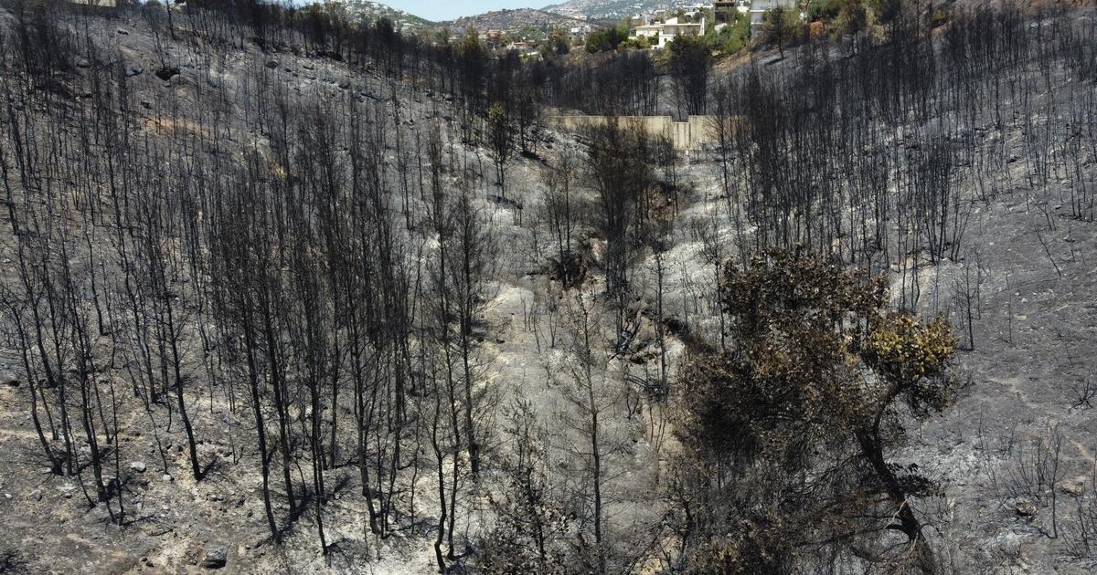 Τραγωδία στον Έβρο: Ένας ακόμα νεκρός από τη φωτιά στη Δαδιά | Alfavita