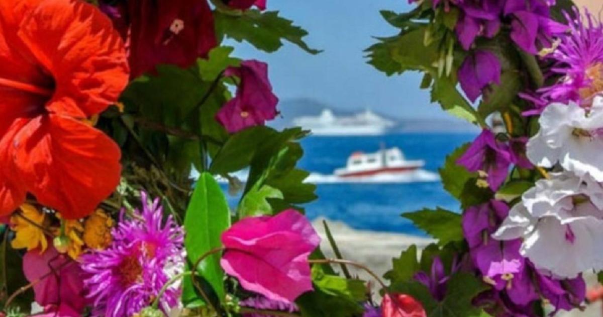 Σήμερα Κυριακή με βροχή και κρύο αλλά από αύριο Δευτέρα έρχεται ...