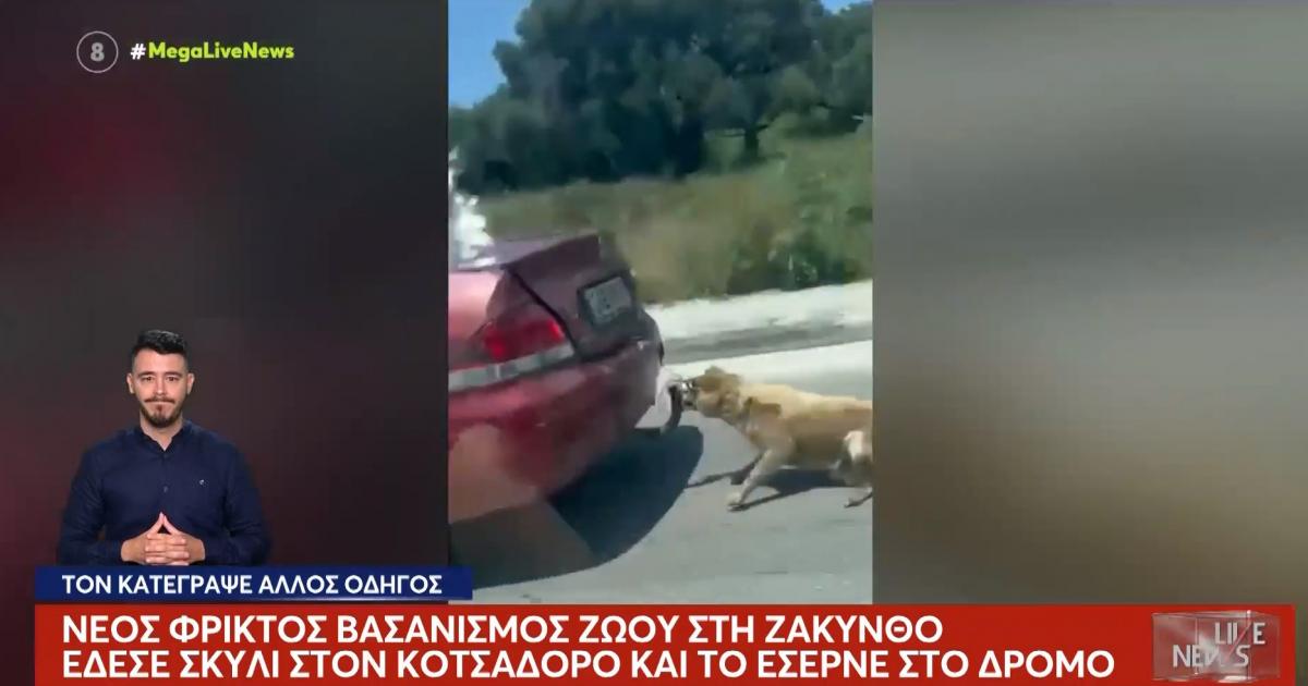 Κτηνωδία στη Ζάκυνθο: Έδεσε σκυλάκι στον κοτσαδόρο αυτοκινήτου και το ...
