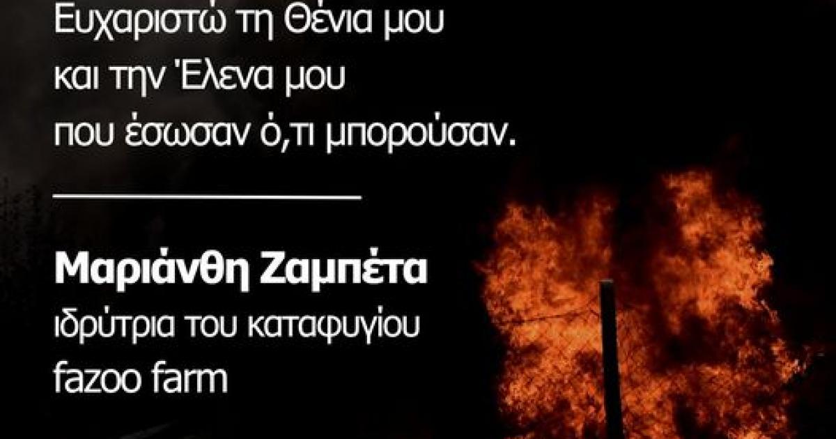 «Καήκαμε, τέλος»: Τα ζωάκια που κάηκαν - Καμιά βοήθεια δε δόθηκε ...