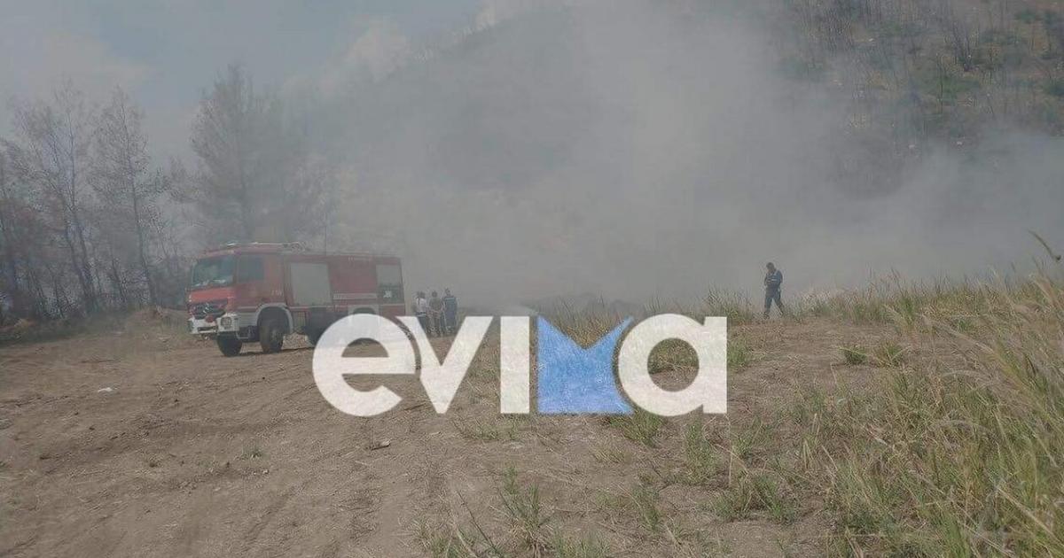 Φωτιά στην Εύβοια – Συναγερμός στη Πυροσβεστική | Alfavita