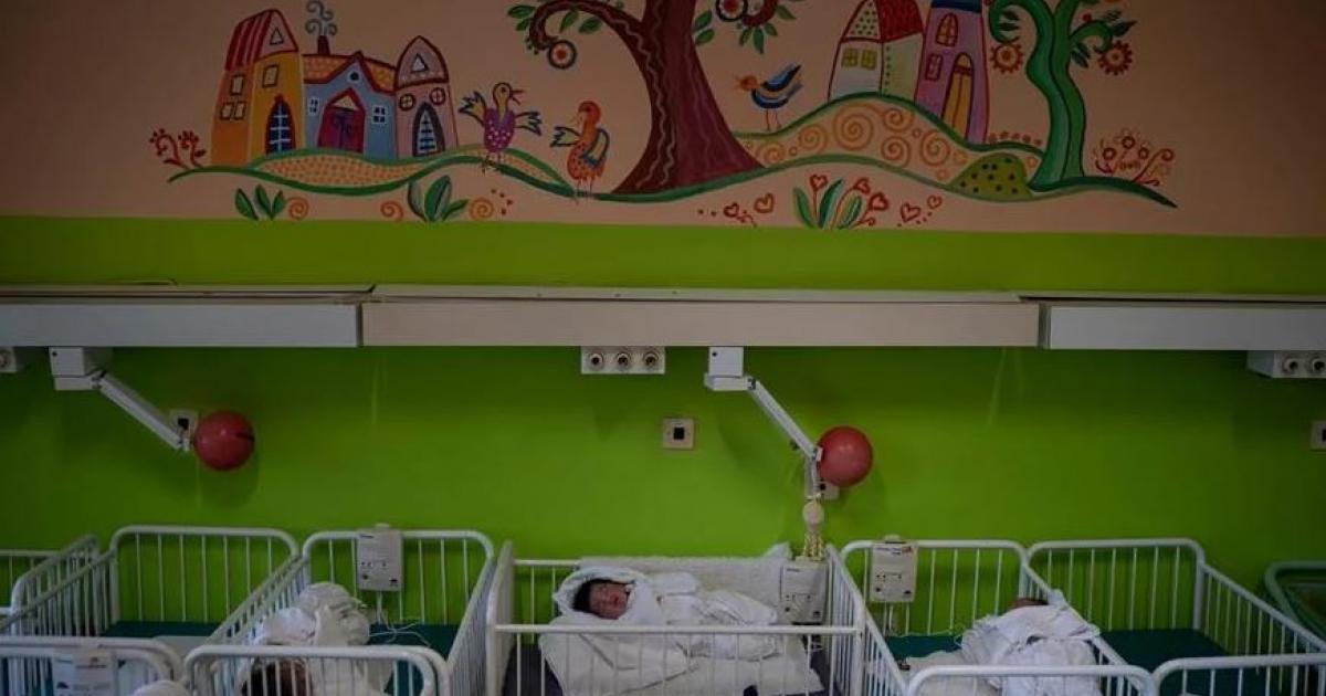 Οι «μεσίτριες», ο αρχηγός γιατρός και η ακραία εκμετάλλευση γυναικών - Ανακοίνωση της ΕΛΑΣ για ...