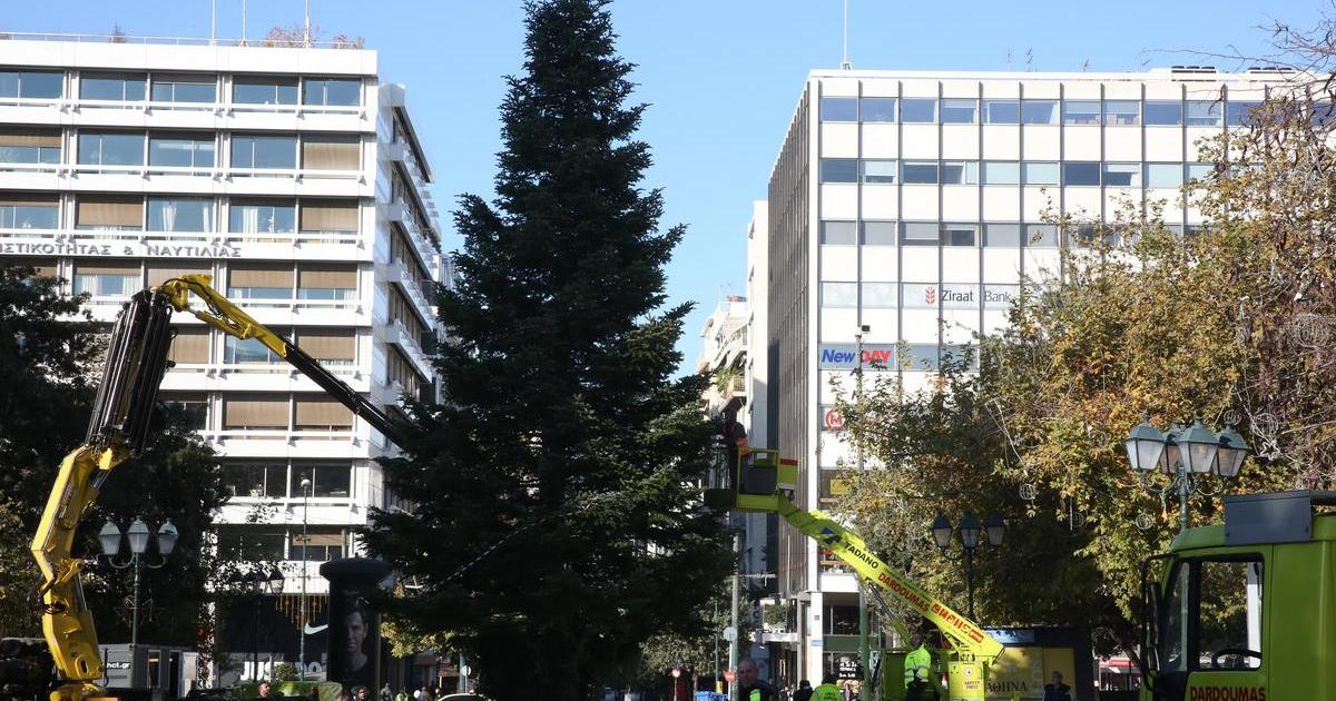 Σε χριστουγεννιάτικους ρυθμούς η Αθήνα – Στήθηκε στο Σύνταγμα το δέντρο ύψους 17 μέτρων | Alfavita