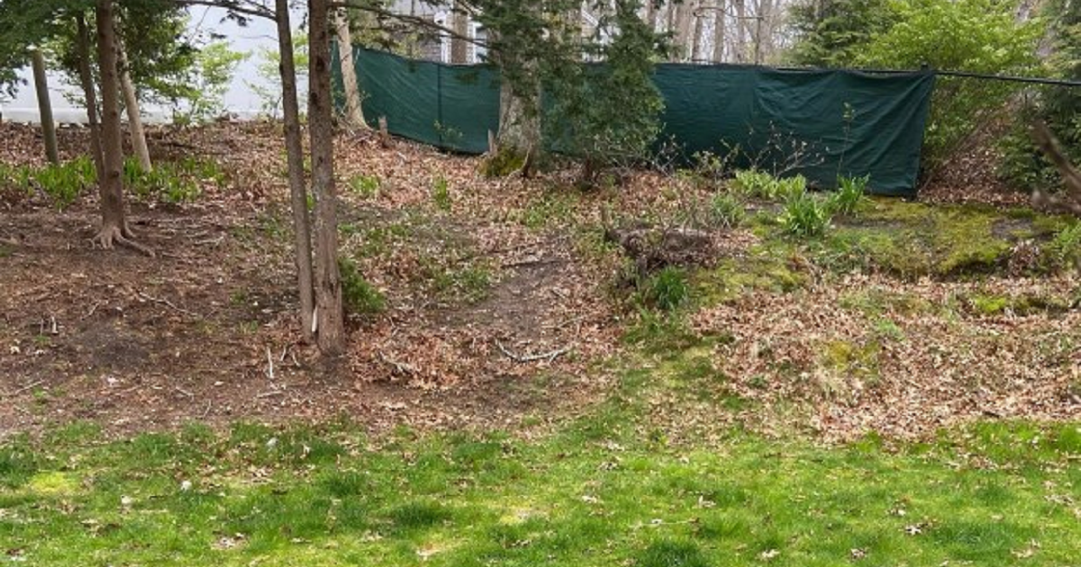 Οπτική ψευδαίσθηση: Μπορείτε να δείτε το κανίς σε 15 δευτερόλεπτα; | Alfavita