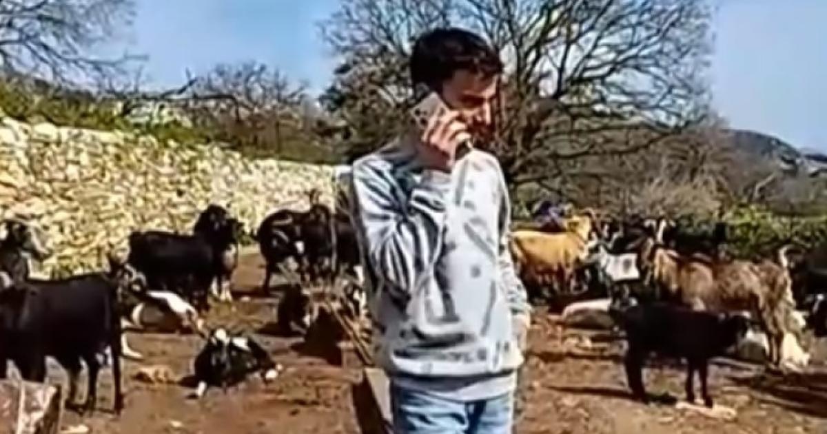 Ο 14χρονος μαθητής που είναι και βοσκός και τα προλαβαίνει όλα! | Alfavita