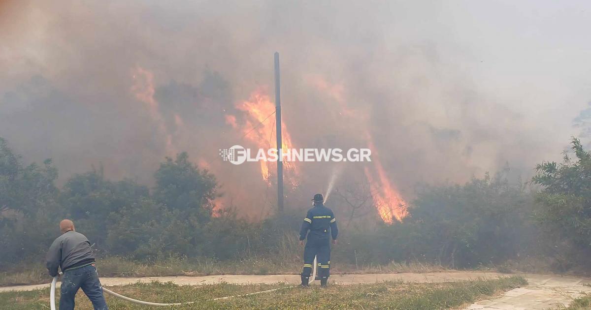 Έκτακτο! Φωτιά στα Χανιά: Εκκενώθηκαν 8 σχολεία και πολλά σπίτια ...