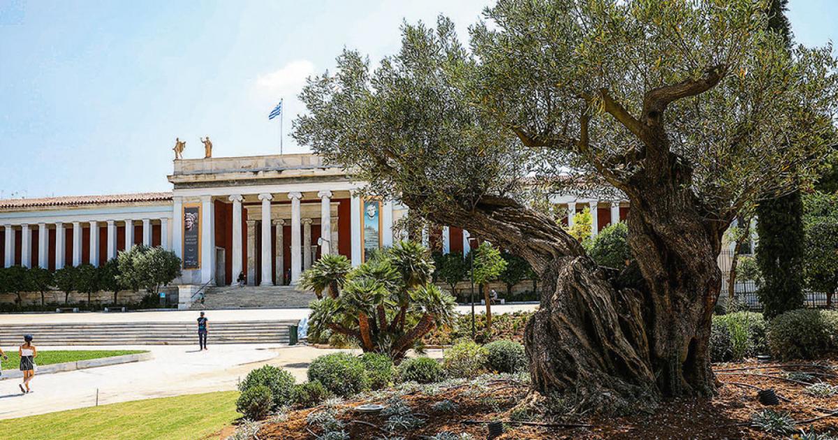 Μια ντροπιαστική επιστολή για τη χαμένη ευκαιρία 61 μαθητών | Alfavita