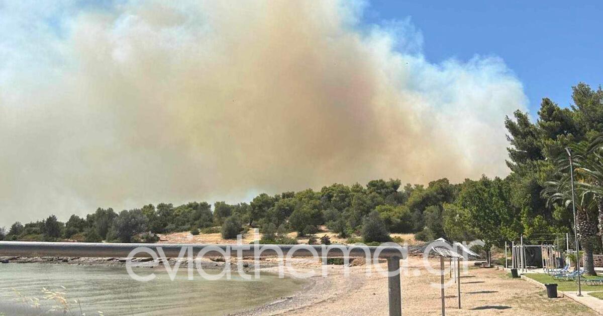 Φωτιά στη Εύβοια κοντά στην Νέα Αρτάκη: Ήχησε το 112 για εκκένωση ...