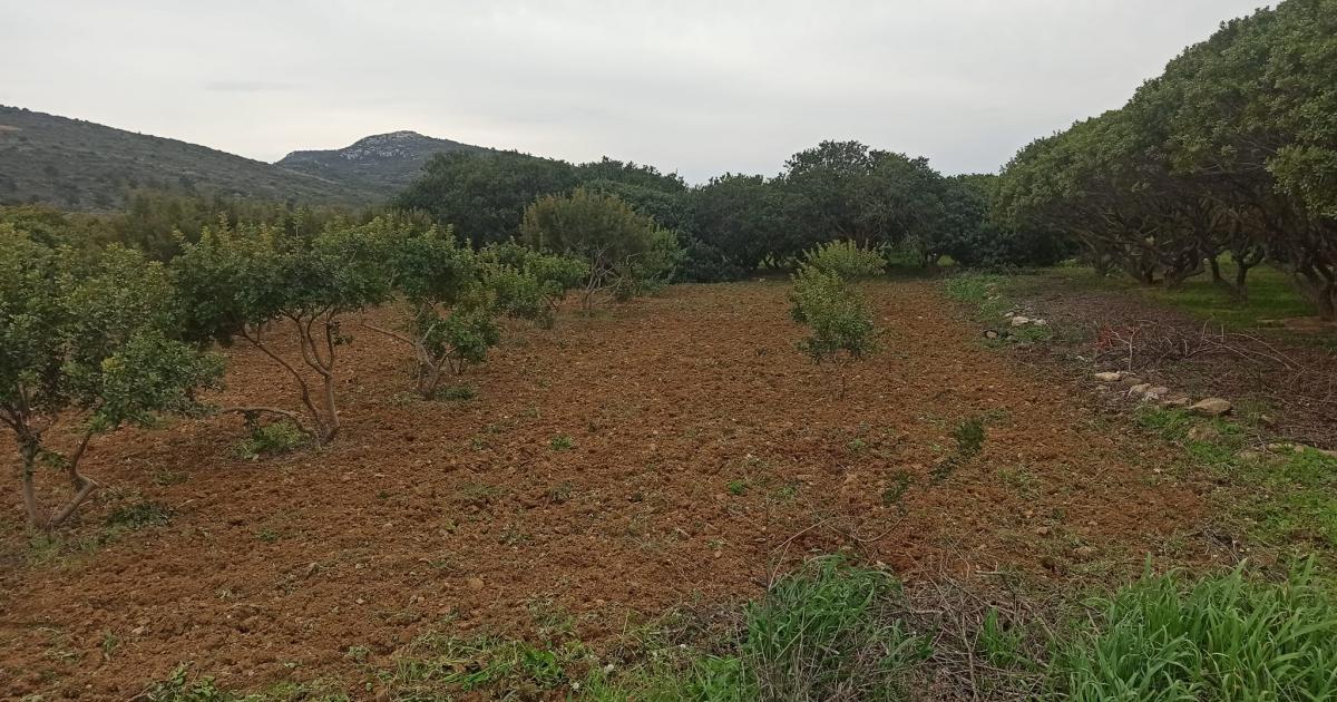 «Θα σου ‘χω και μπύρα». «Θα σου ‘χω κρουασάν»: Oικογενειάρχες εργάτες ...
