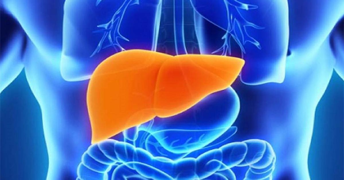 Συκώτι: Πώς να μειώσετε γρήγορα το λίπος | Alfavita