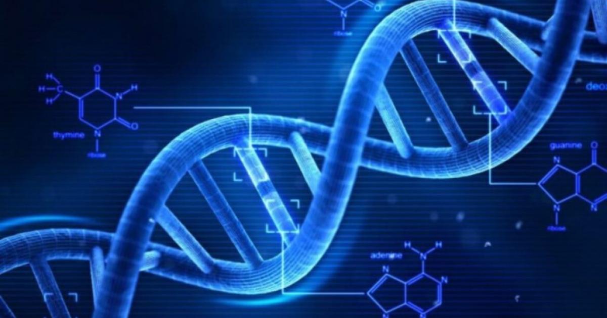 Στις 15 Μαΐου θα διεξαχθει ο 4ος Πανελλήνιος Διαγωνισμός Βιολογίας Γυμνασίου 2025 | Alfavita