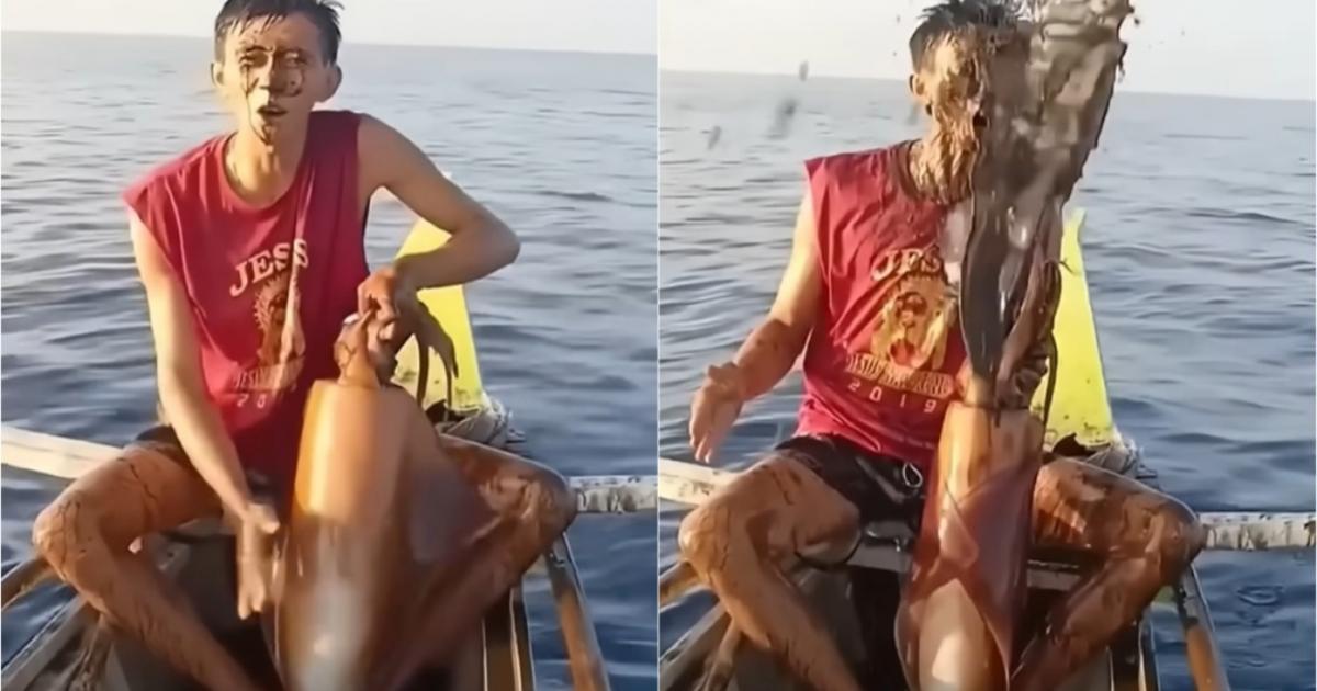 Το γιγαντιαίο καλαμάρι που... αντεπιτέθηκε με μελάνι και έγινε viral (Video) | Alfavita