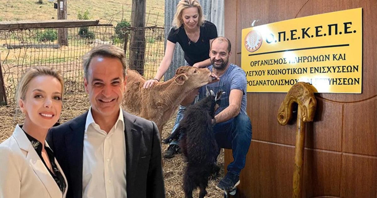ΟΠΕΚΕΠΕ: Προκαταρκτική εξέταση από την Ευρωπαϊκή Εισαγγελία για τις ...