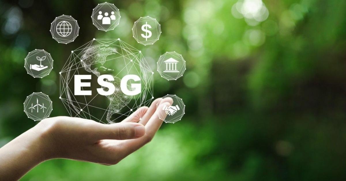 Το 1o Πανεπιστημιακό Πιστοποιητικό ESG αναγνωρισμένο από το Υπ.Παιδείας | Alfavita
