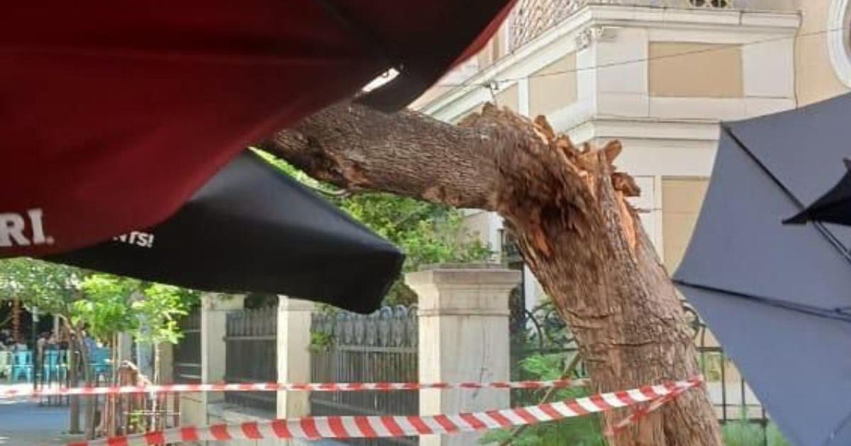 Σοκ στο κέντρο της Αθήνας: Δύο τραυματίες από πτώση δέντρου – Στο ...