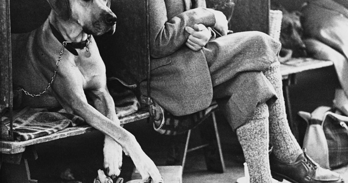 Είναι θέμα ηθικής | Alfavita