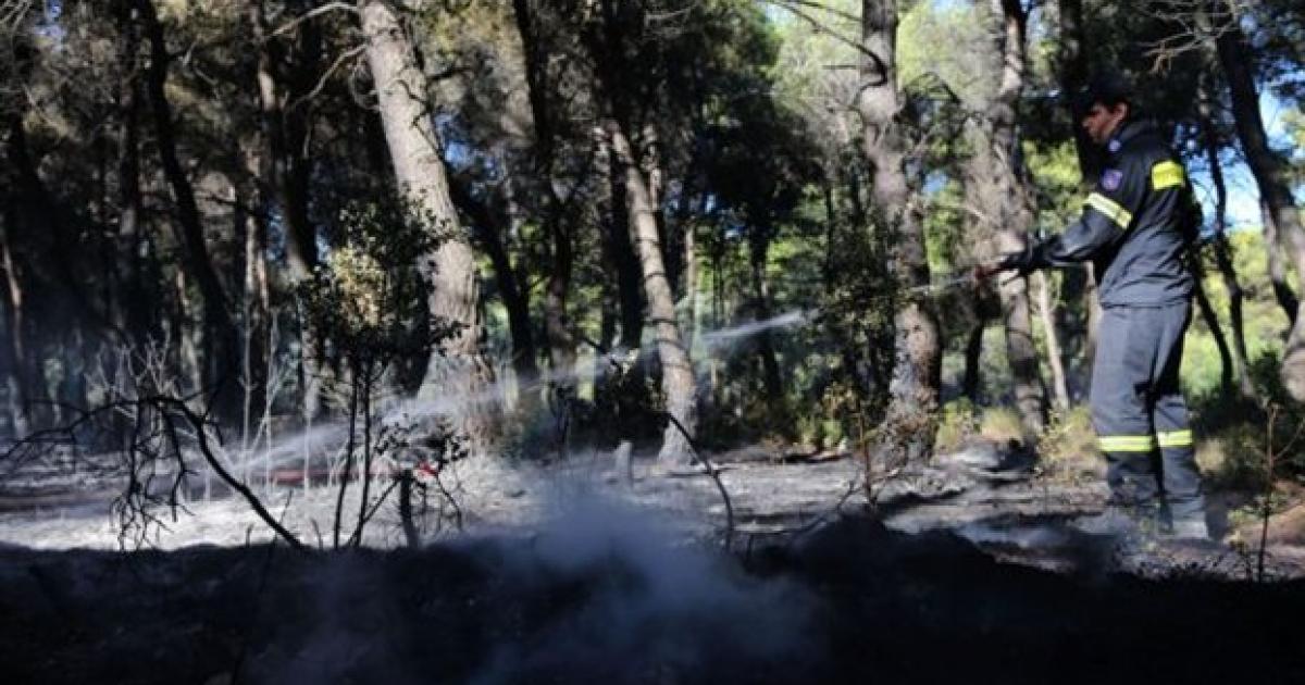 Υποπτος και για άλλους εμπρησμούς στην Αττική ο 60χρονος | Alfavita