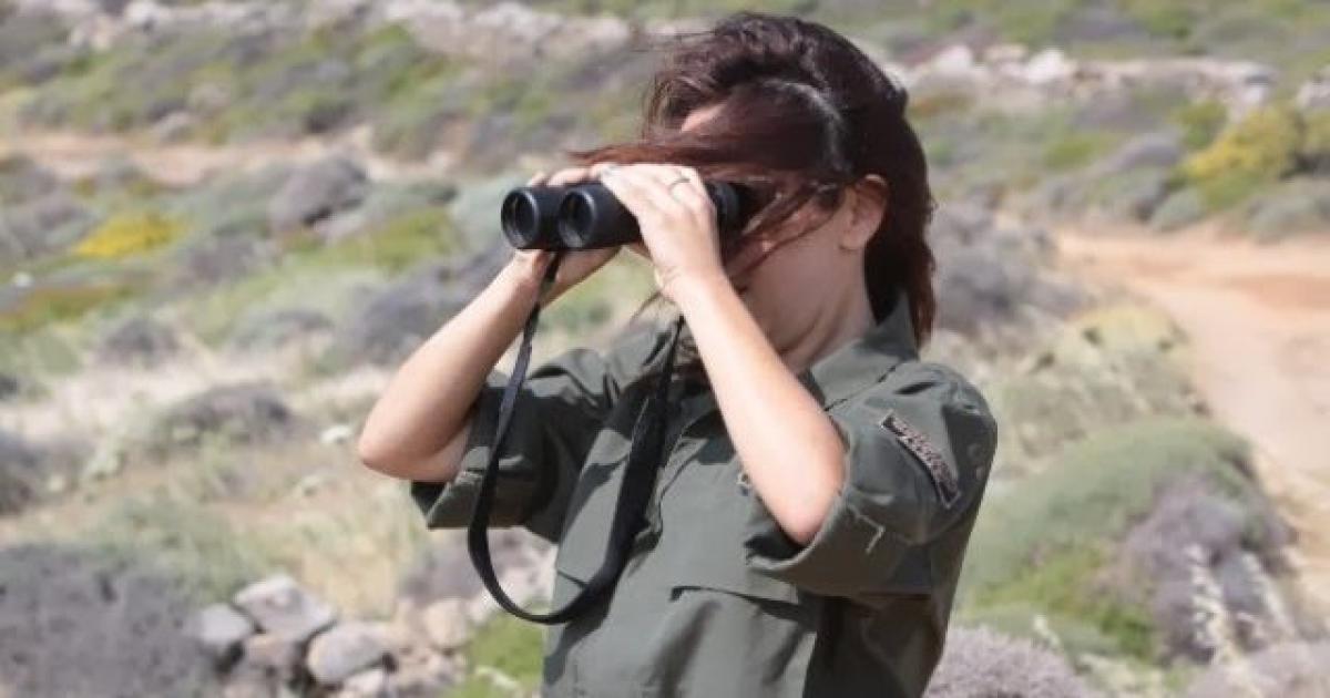 ΑΣΕΠ 8Κ/2024:Μόνιμες προσλήψεις δασοφυλάκων σε όλη την Ελλάδα- Πώς θα ...