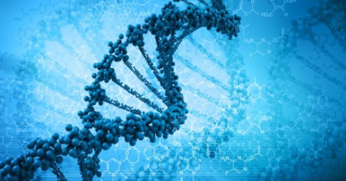 ΑΠΘ: Γνωριμία μαθητών με την επιστήμη της Βιολογίας με αφορμή την ...