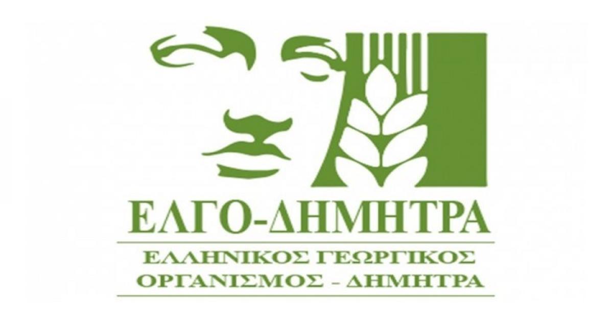 40 προσλήψεις στον Ελληνικό Γεωργικό Οργανισμό "ΔΗΜΗΤΡΑ" | Alfavita