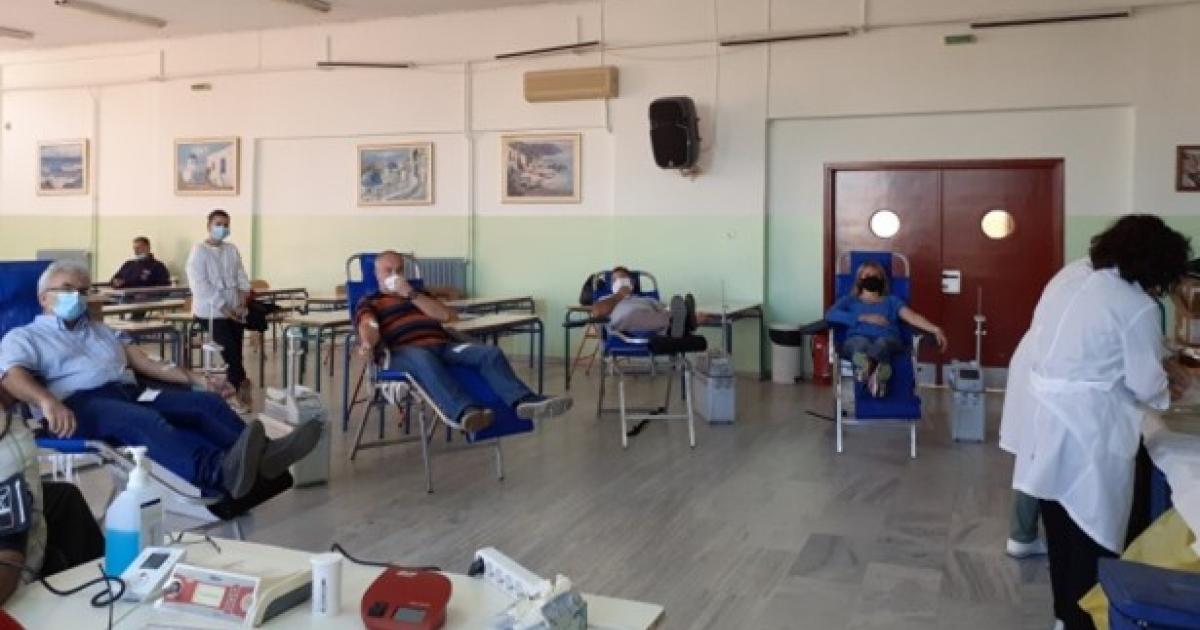 Με αυξημένη συμμετοχή η αιμοδοσία των Γ΄και Ε΄ ΕΛΜΕ Θεσσαλονίκης | Alfavita