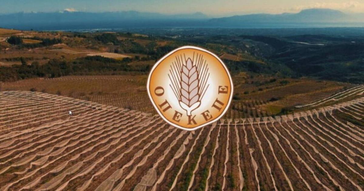 Ένοχοι οι 13 κατηγορούμενοι στη Φθιώτιδα για το σκάνδαλο ΟΠΕΚΕΠΕ - Φυλάκιση από 6 έως 40 μήνες ...
